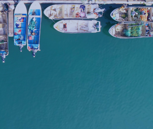 European Maritime Day: The economic importance of small-scale fisheries ...